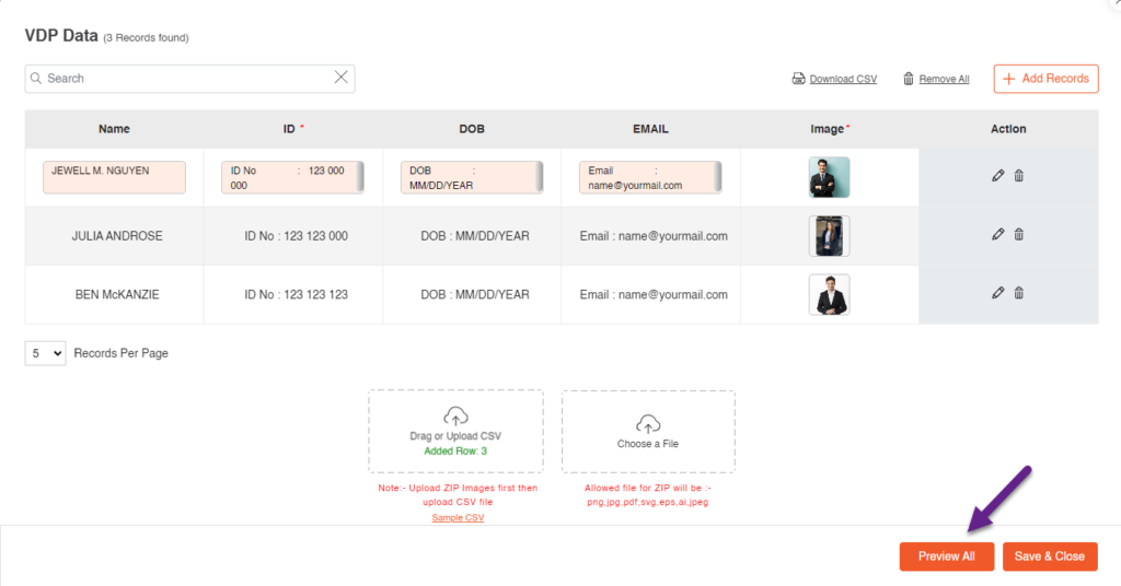 How to Preview VDP Data?